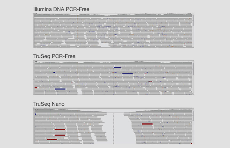 Illumina DNA PCR-Free Prep | For sensitive WGS applications