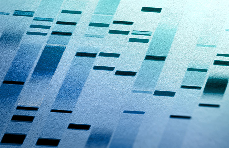 Next-Generation Sequencing for Beginners | NGS basics for researchers